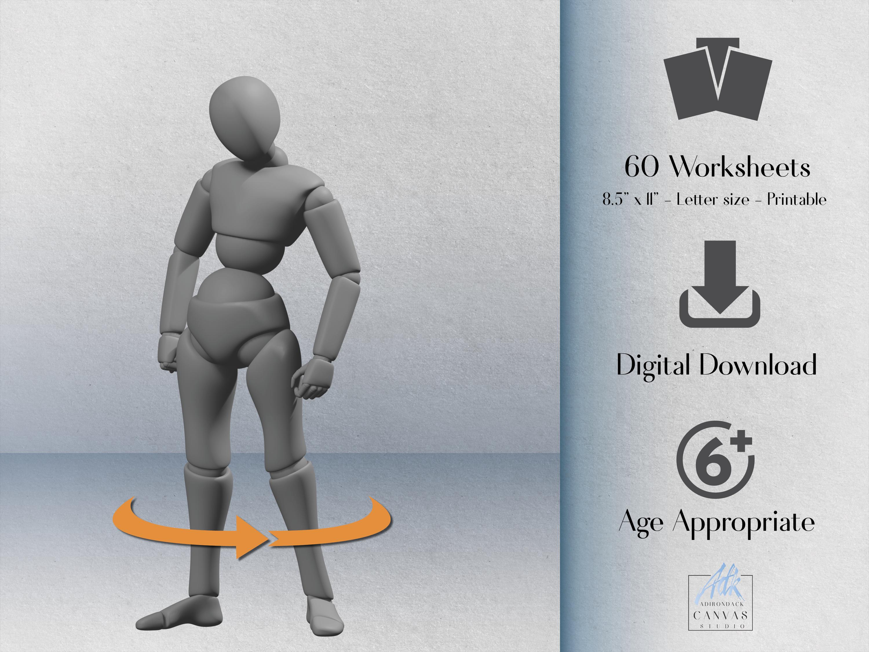 360 Degree Rotational Human Form Model, Mannequin Model, Drawing ...