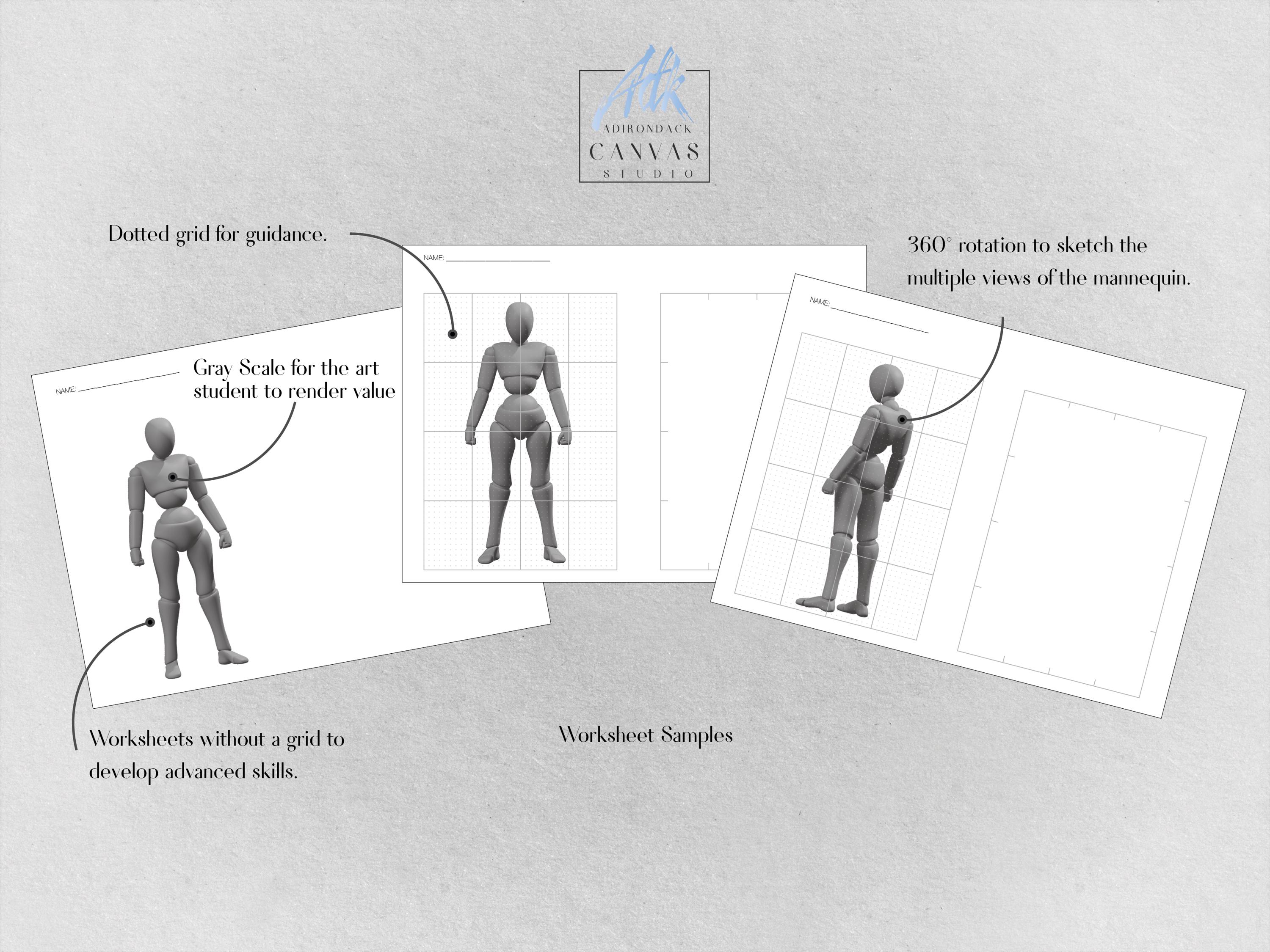 360 Degree Rotational Human Form Model, Mannequin Model, Drawing ...