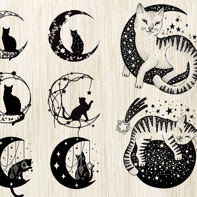 Cat Svg - Etsy