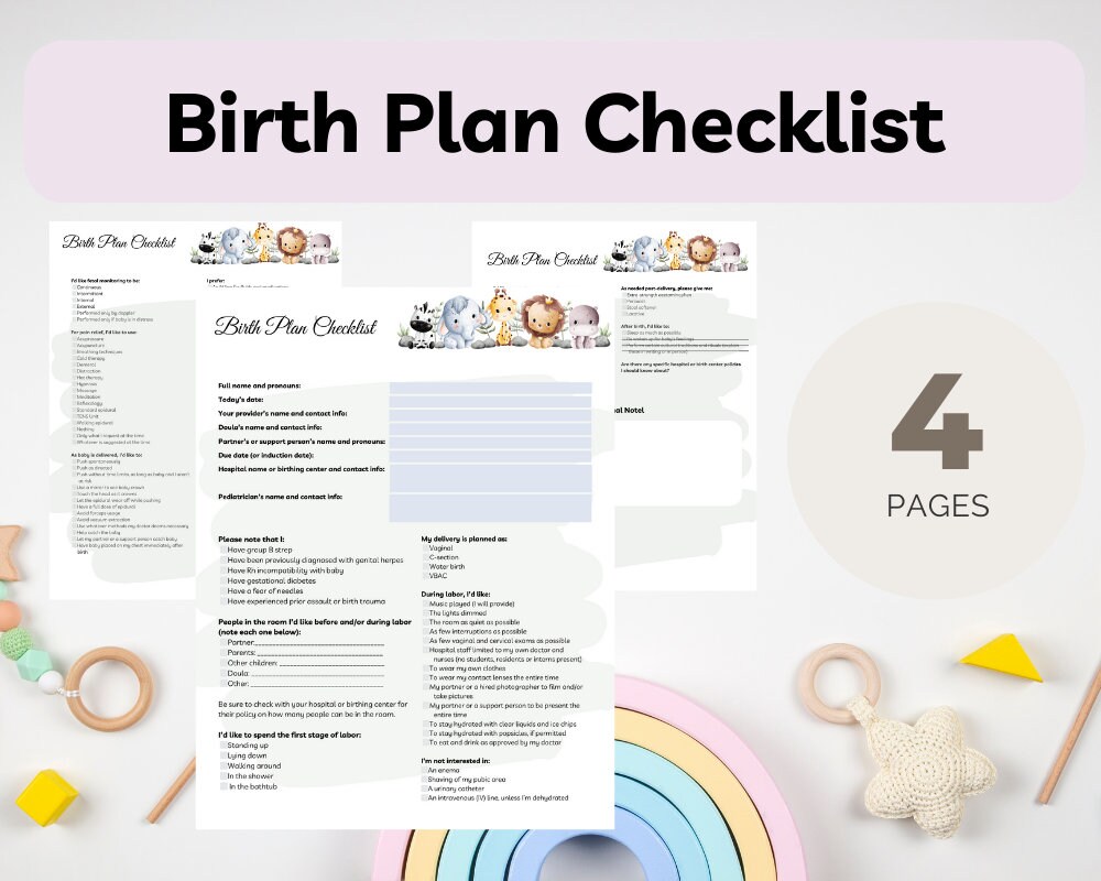 Printable Birth Plan Template Digital Birthing Plan Checklist Labor and ...