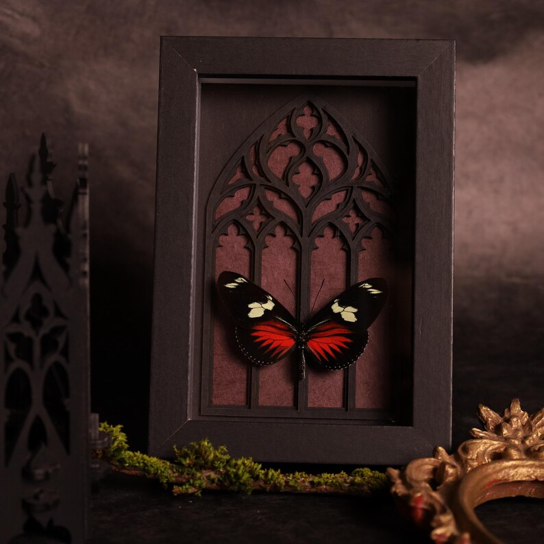 Heliconius Doris Butterfly in a 3D Frame With a Gothic Design ...