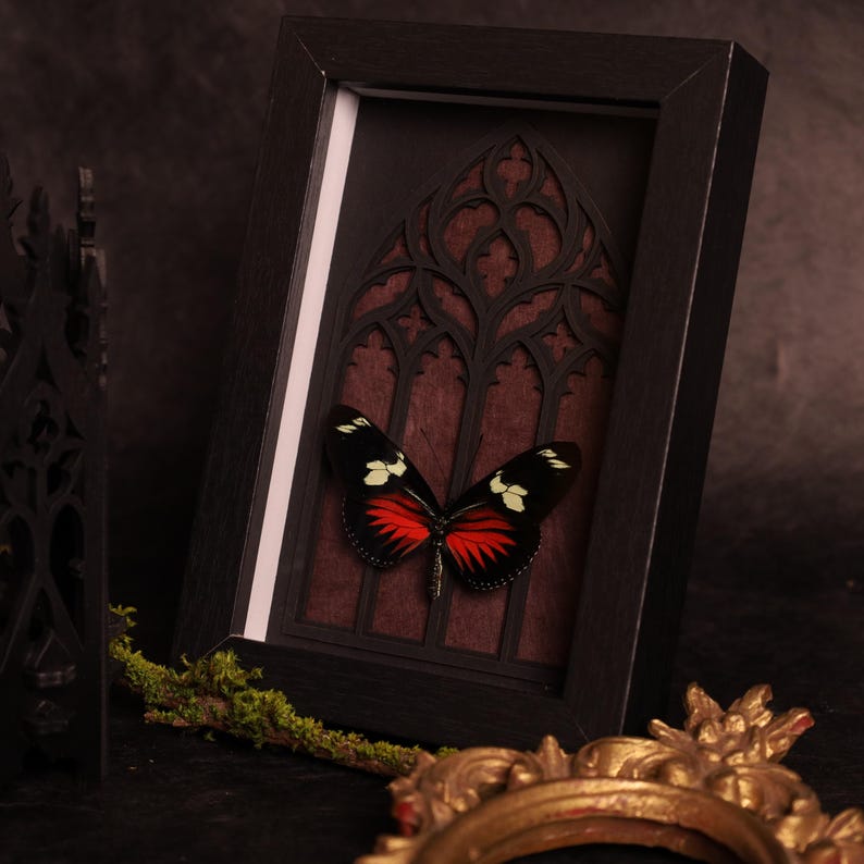 Heliconius Doris Butterfly in a 3D Frame With a Gothic Design ...