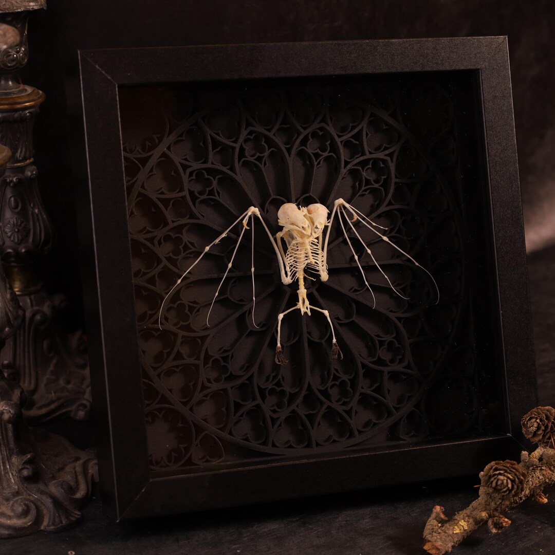 Real Two-headed Skeleton in a 3D Frame With a Gothic Design ...