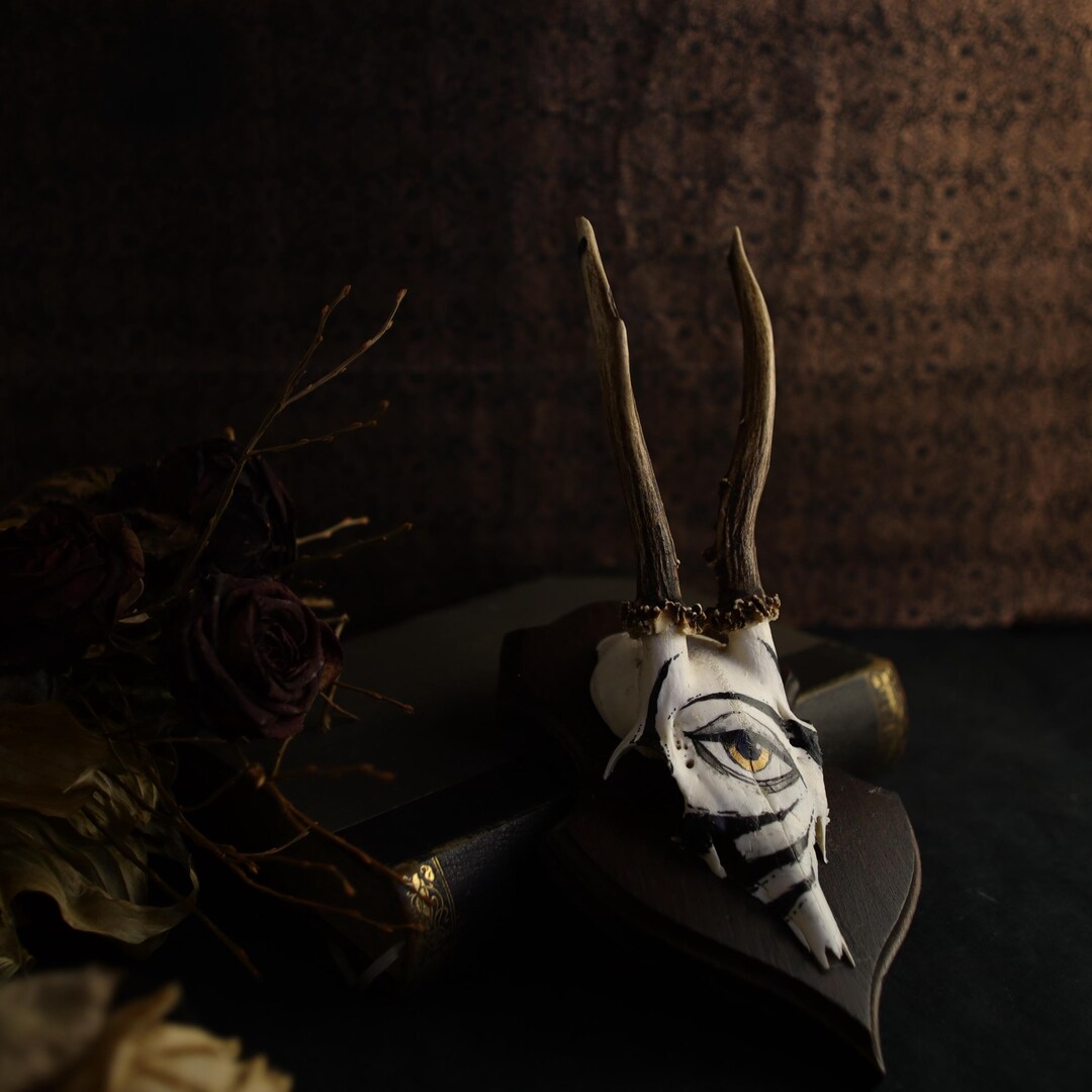 Real Deer Skull Nature Witch Gothic Decoration Photography Curiosity - Etsy