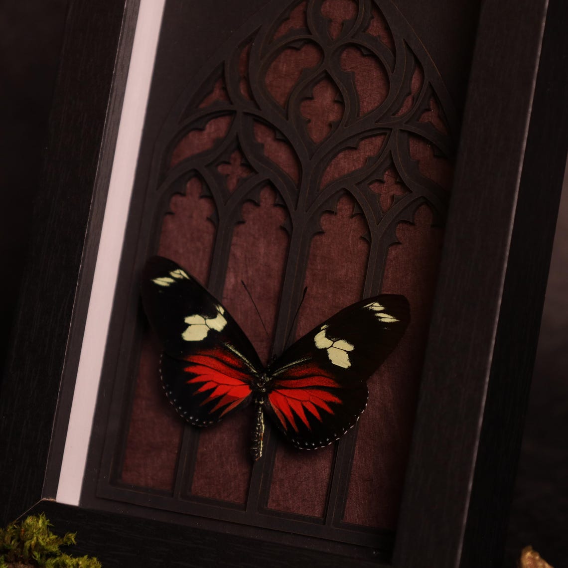Heliconius Doris Butterfly in a 3D Frame With a Gothic Design ...