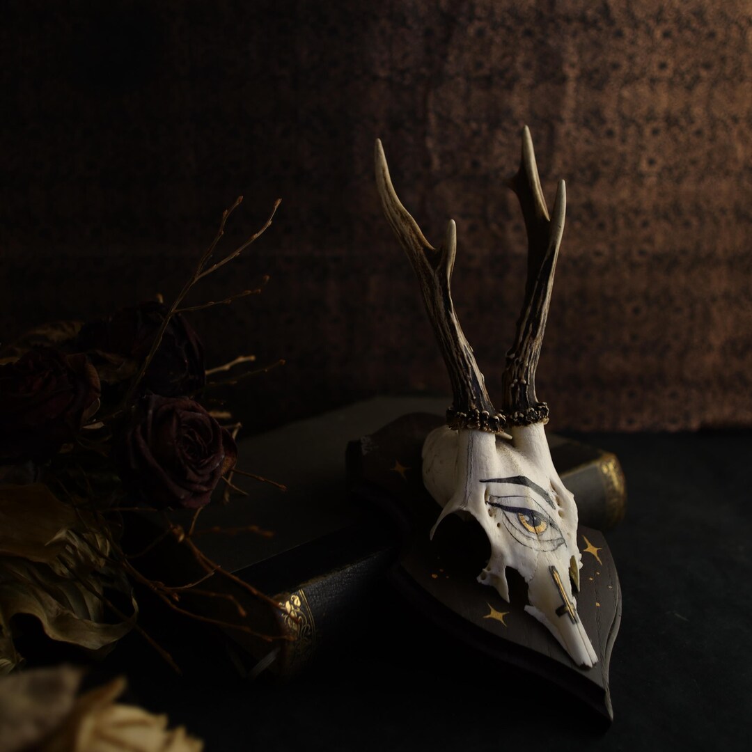 Real Deer Skull - Nature Witch Gothic Decoration Photography Curiosity ...
