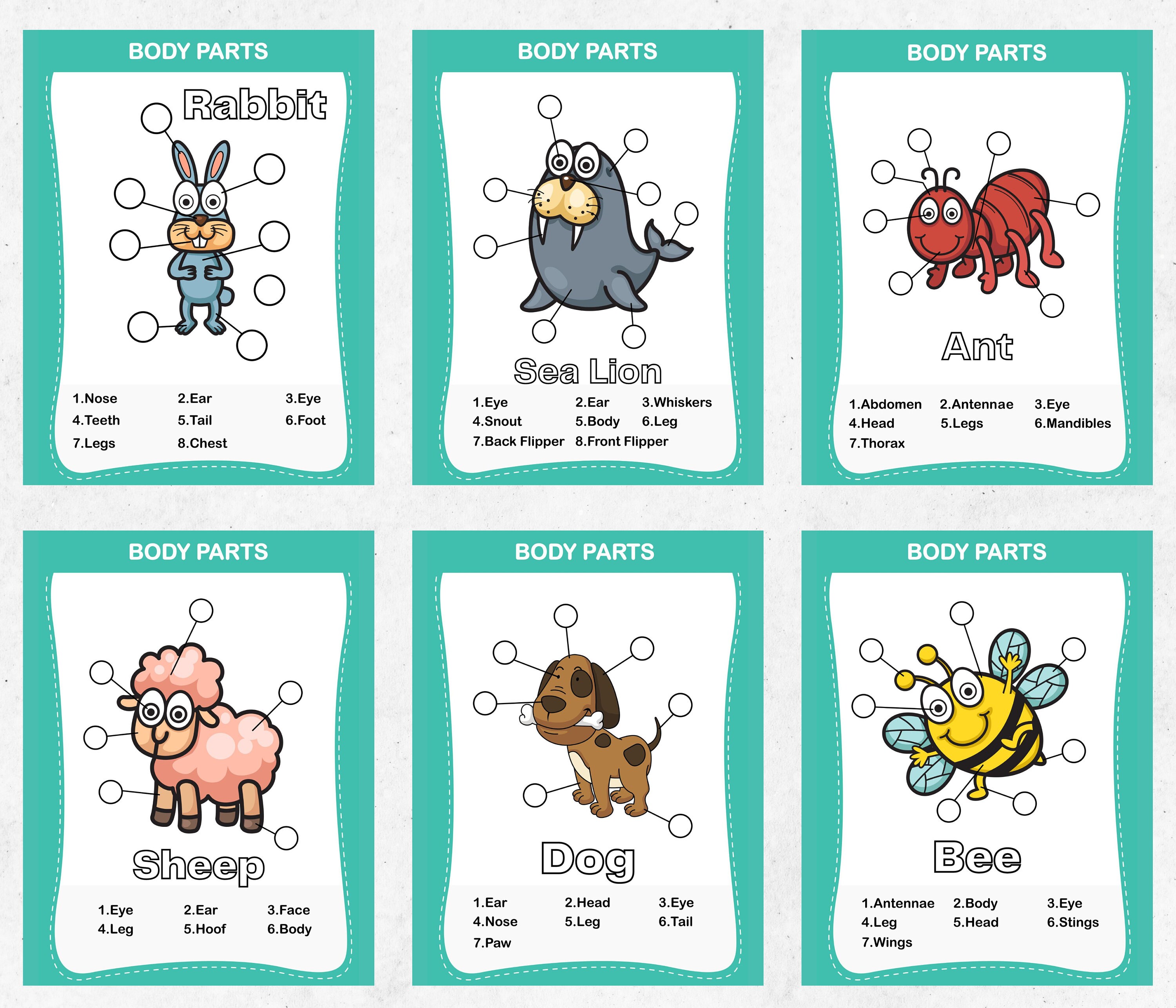 Animals Body Part Book for Kids, Printable Preschool Worksheets ...