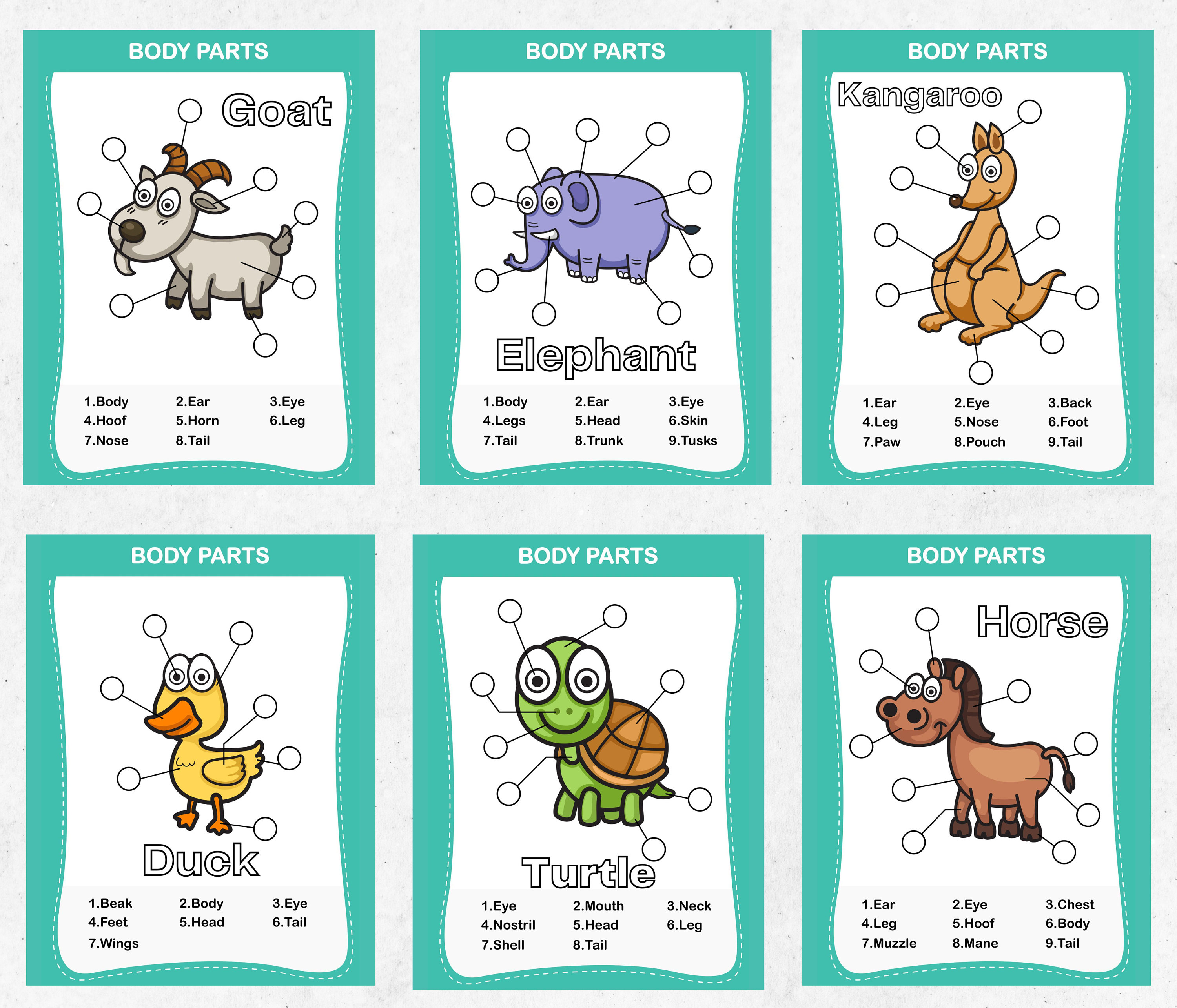 Animals Body Part Book for Kids, Printable Preschool Worksheets ...