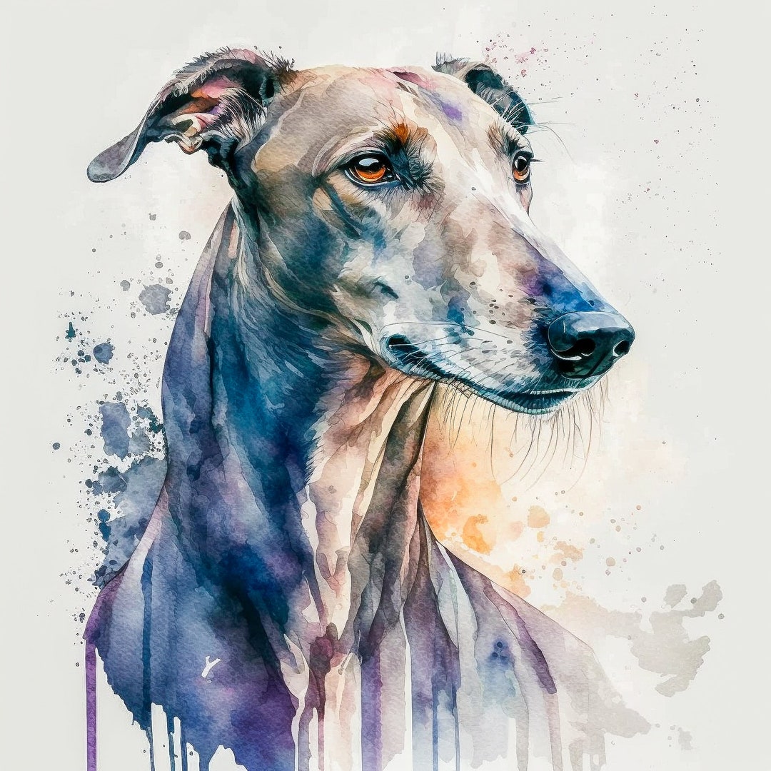 Majestic." Print Watercolour.greyhound Art,greyhound Print,greyhound ...