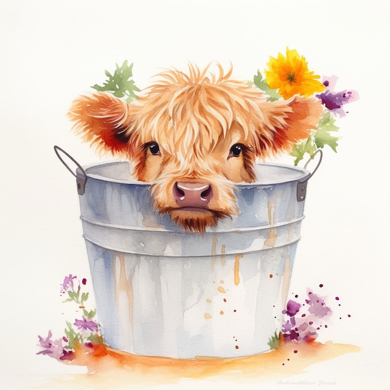 Highland Cow in Bucket PNG, Cow Watercolor Clipart, Kawaii Cow, Cute ...