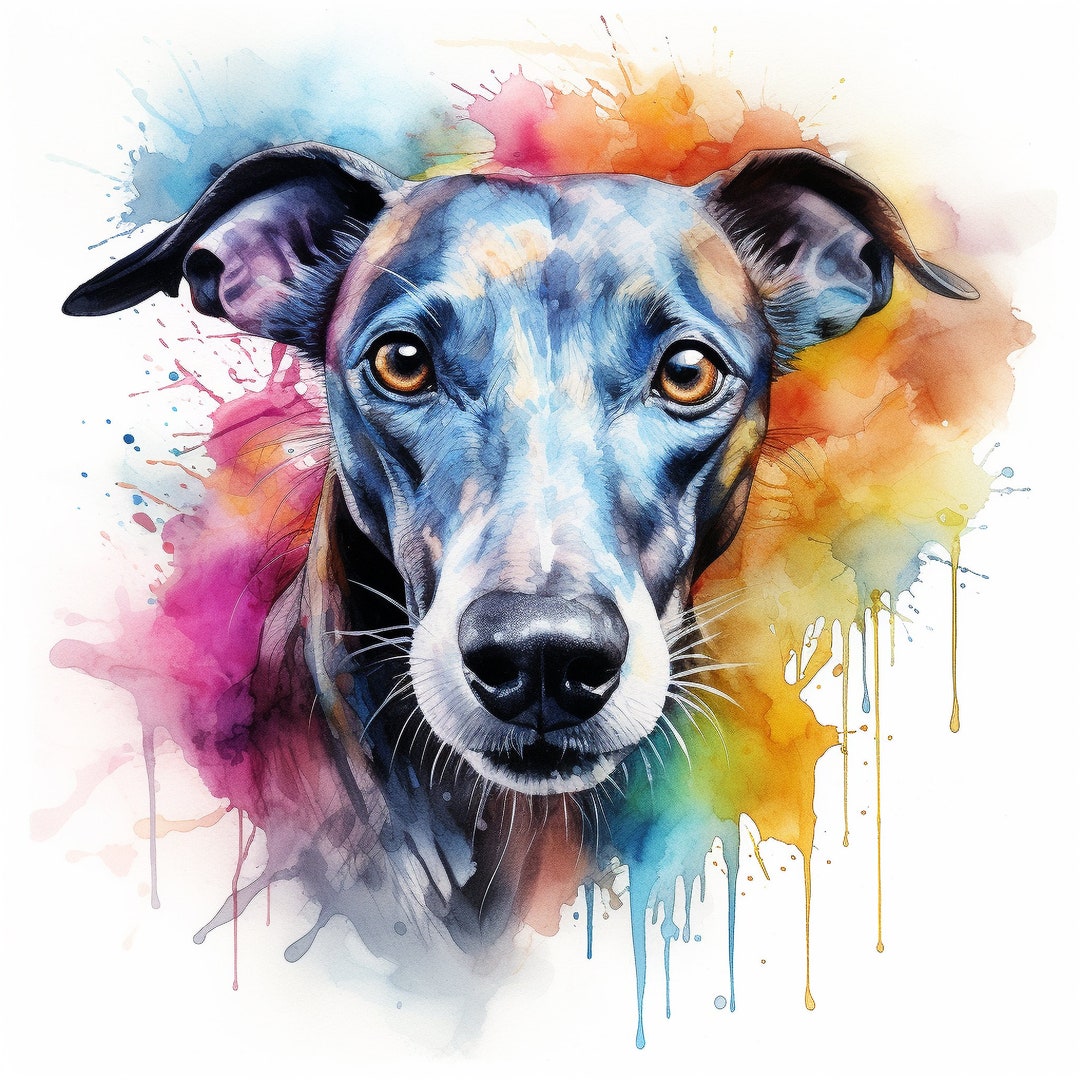 Majestic." Print Watercolour.greyhound Art,greyhound Print,greyhound ...