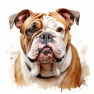Majestic 10 X Print Watercolour Bulldog Art Bulldog Print Bulldog ...