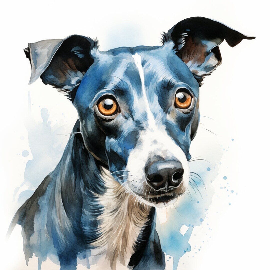 Majestic 10 X Print Watercolour Blue Whippet Art Blue Whippet Print ...