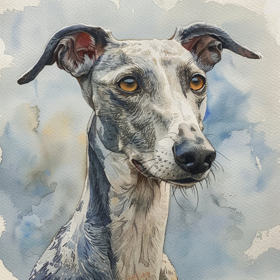 Majestic." Print Watercolour.greyhound Art,greyhound Print,greyhound ...