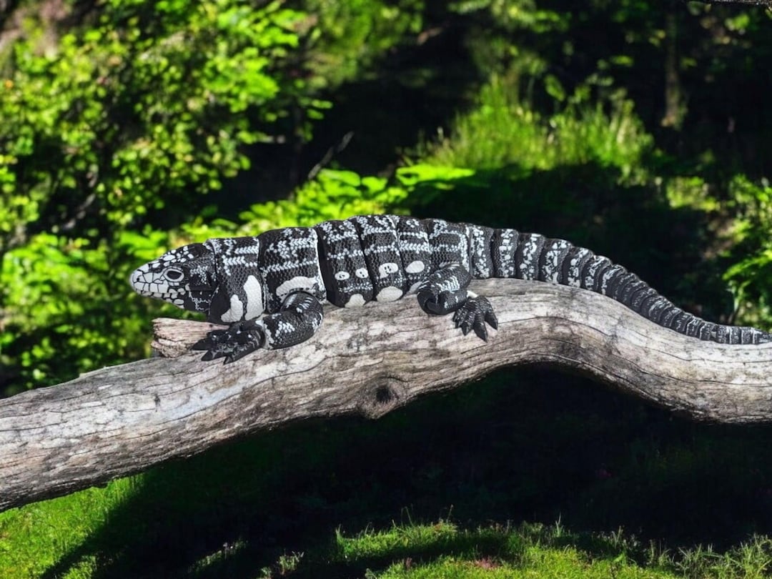3D Printed Articulated Tegu | Fidget Toy | Gift | Stocking Filler ...