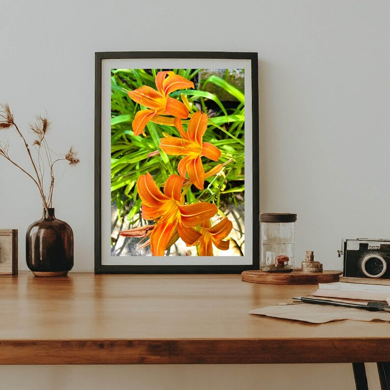 Printable Portrait Photograph Vibrant Lilies Blossom Elegance Floral ...