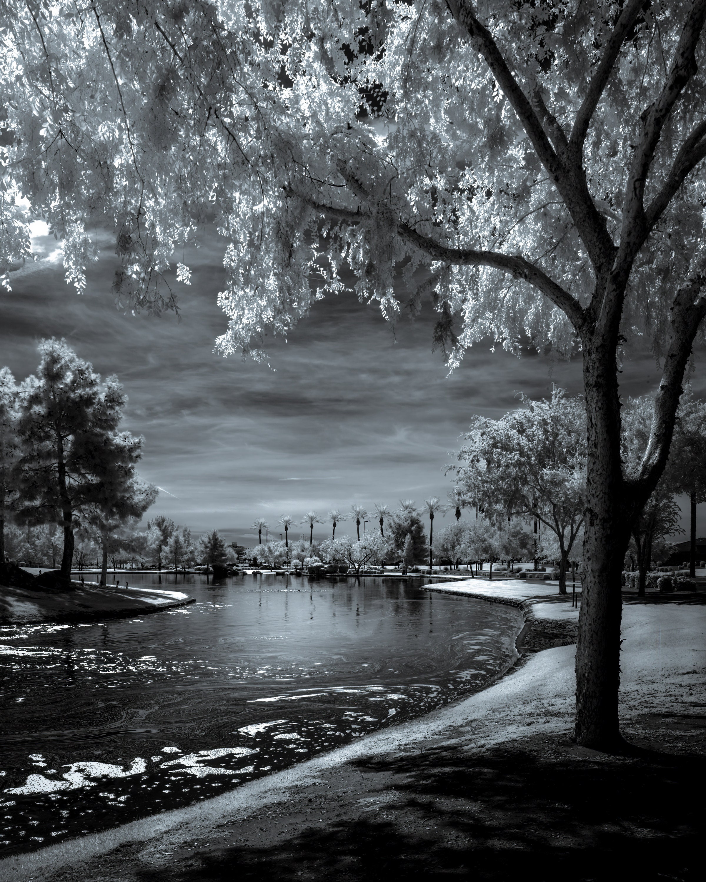 Black Lake Printable Digital Download - Etsy