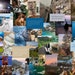 CUSTOM Vision Board: Digital And/or Print. VISUALIZE Your Dream Life ...