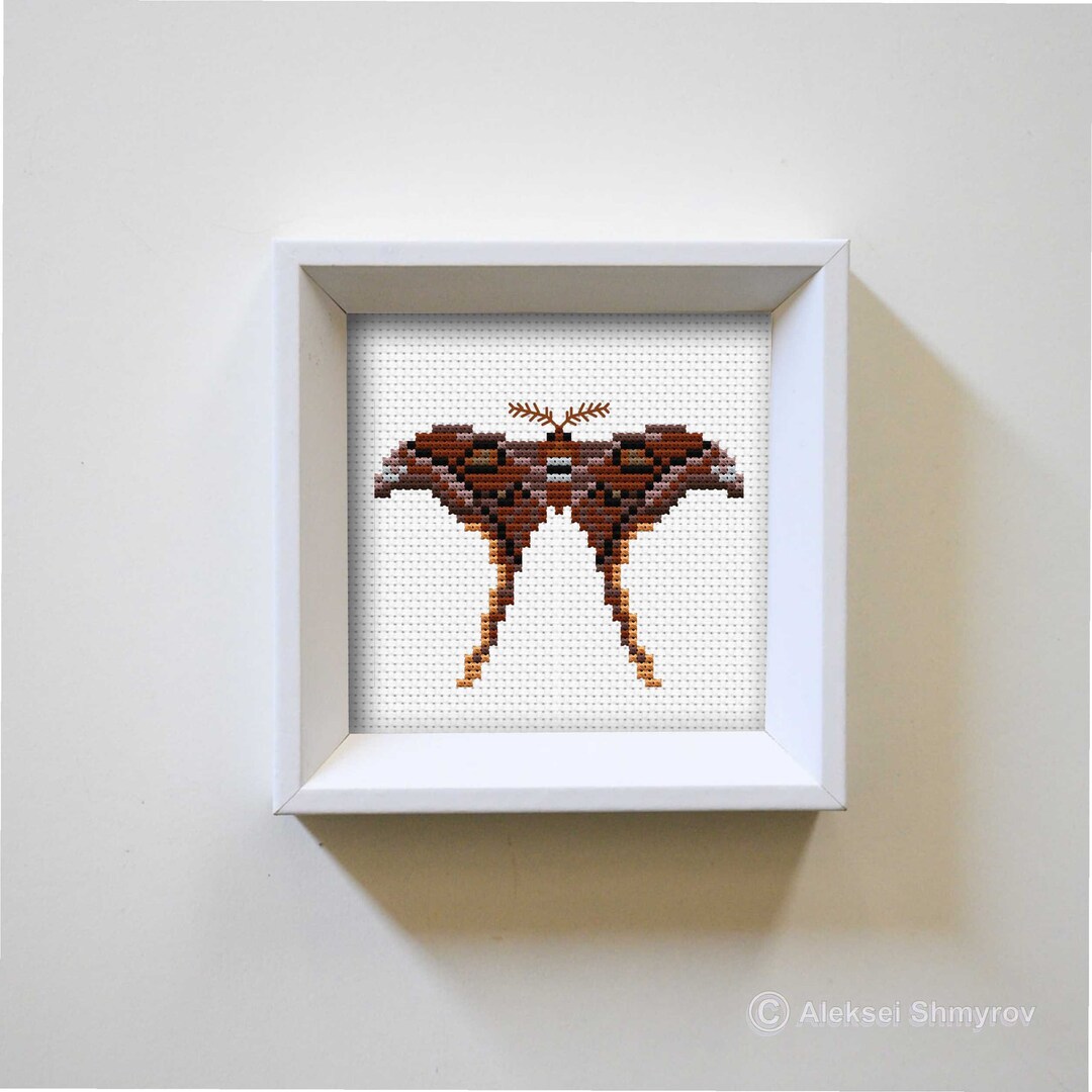 Hercules Moth Cross Stitch Pattern, Insects Cross Stitch, Easy Cross ...