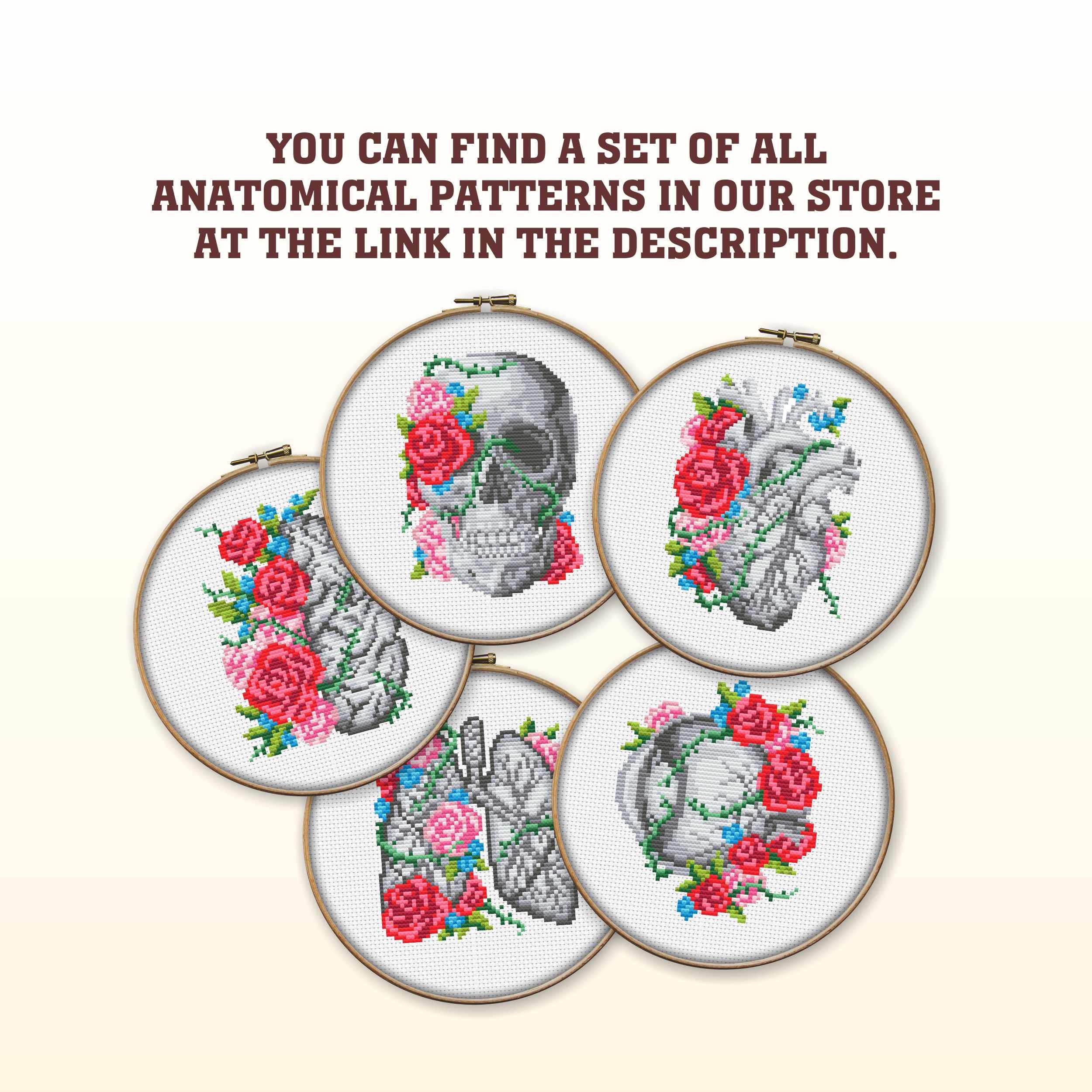 Skull Cross Stitch Pattern Human Anatomy Cross Stitch Doctor - Etsy