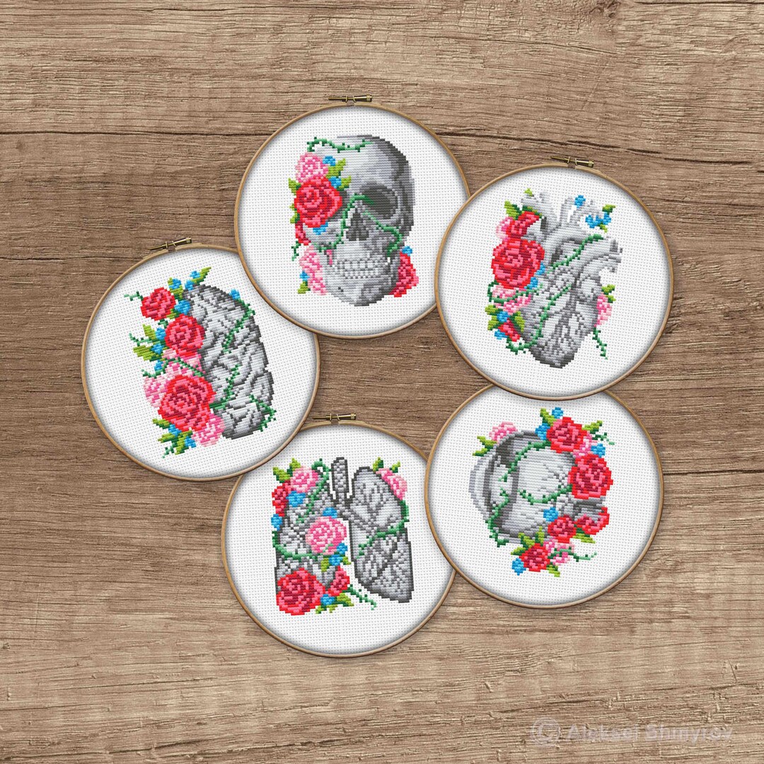 Set of 5 Human Anatomy Cross Stitch Pattern, Doctor Gift, Mini Cross ...