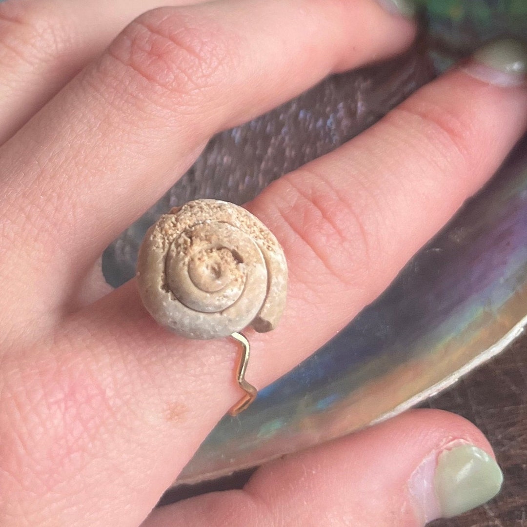 Ammonite Ring - Etsy