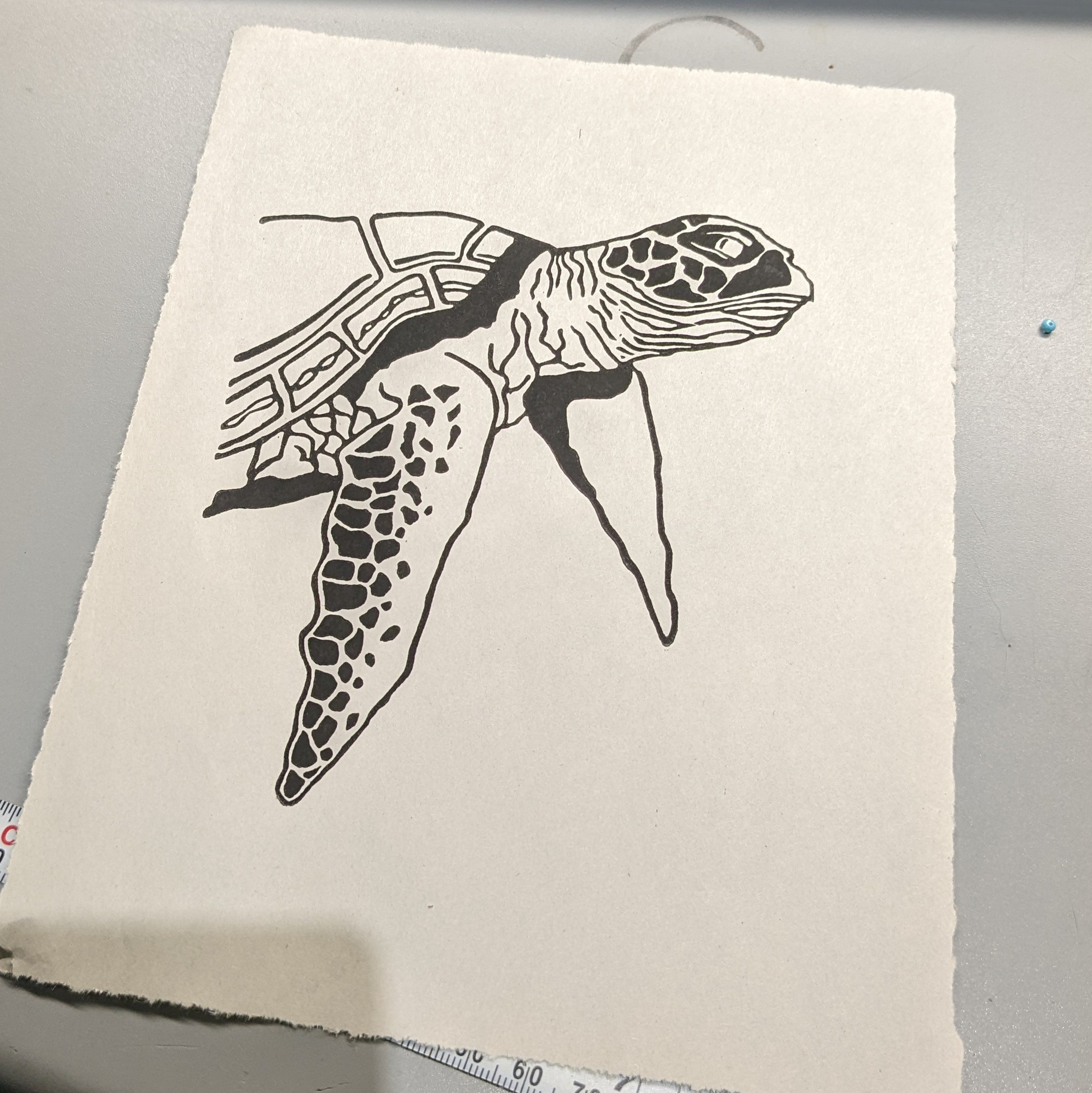 Sea Turtle Linoleum Block Relief Print - Etsy