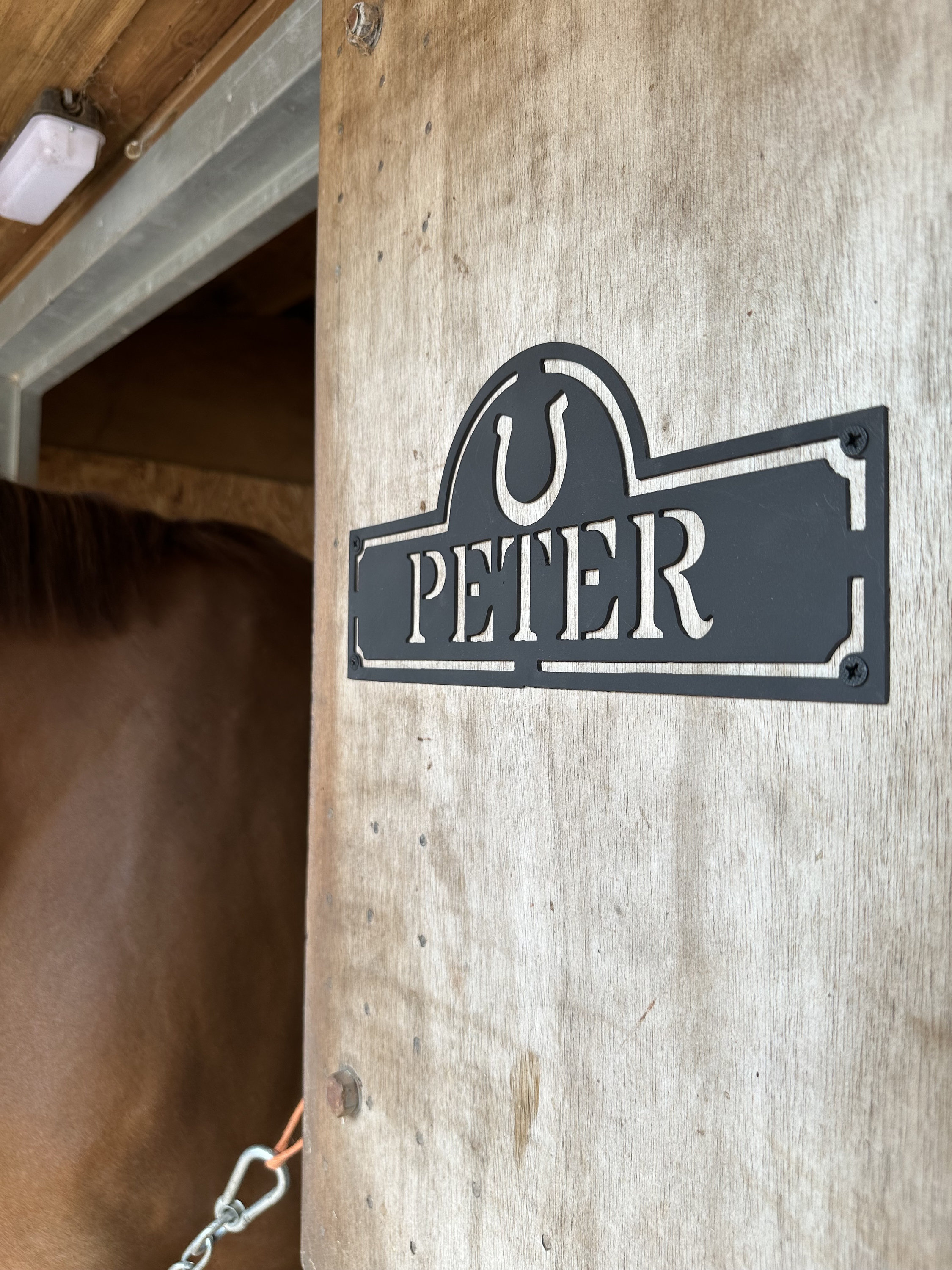 Custom Horse Plaque / Stable Sign - Etsy UK