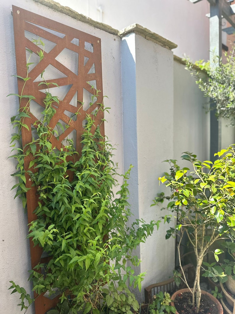 Rusty Garden Trellis / Garden Screen - Etsy UK