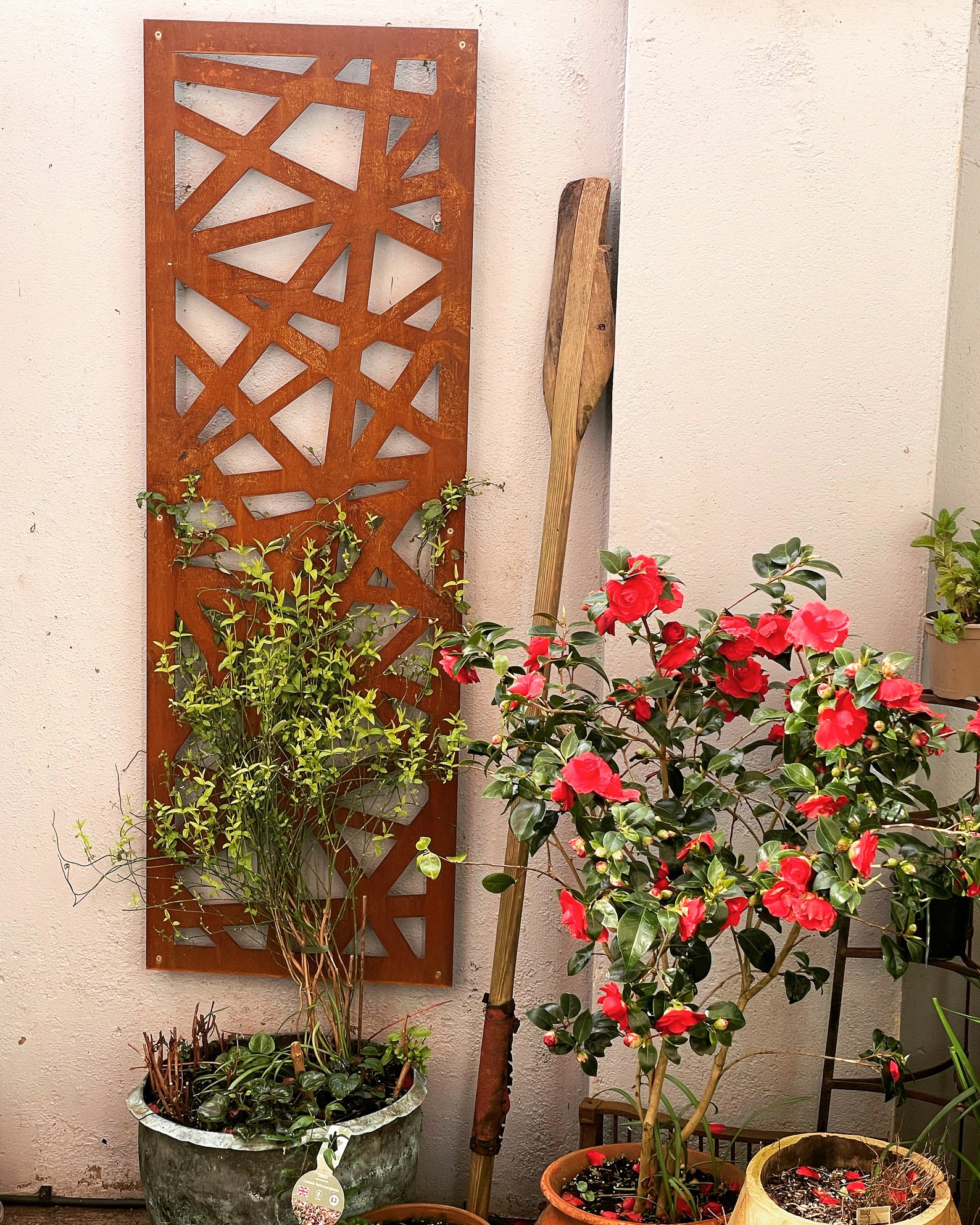 Rusty Garden Trellis / Garden Screen - Etsy UK