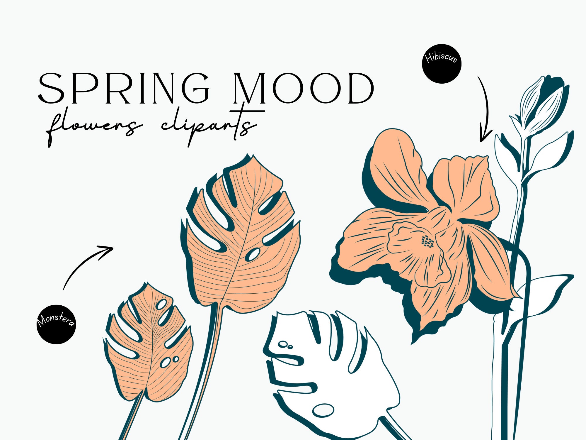 Peach Fuzz Flowers Cliparts - Digital Download - Etsy