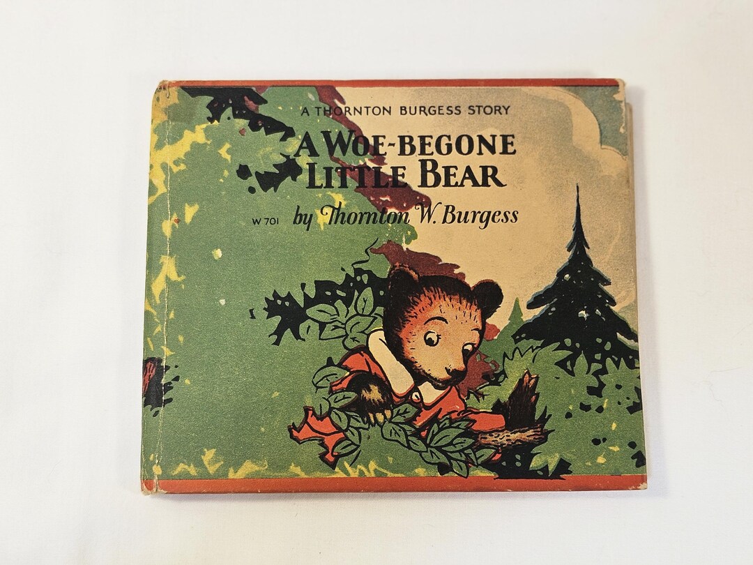Vintage Children's Book: A Woe-begone Little Bear by Thornton Burgess ...