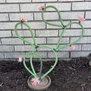Handmade Rope Cactus Home Decor, Flower Arrangement, Western - Etsy