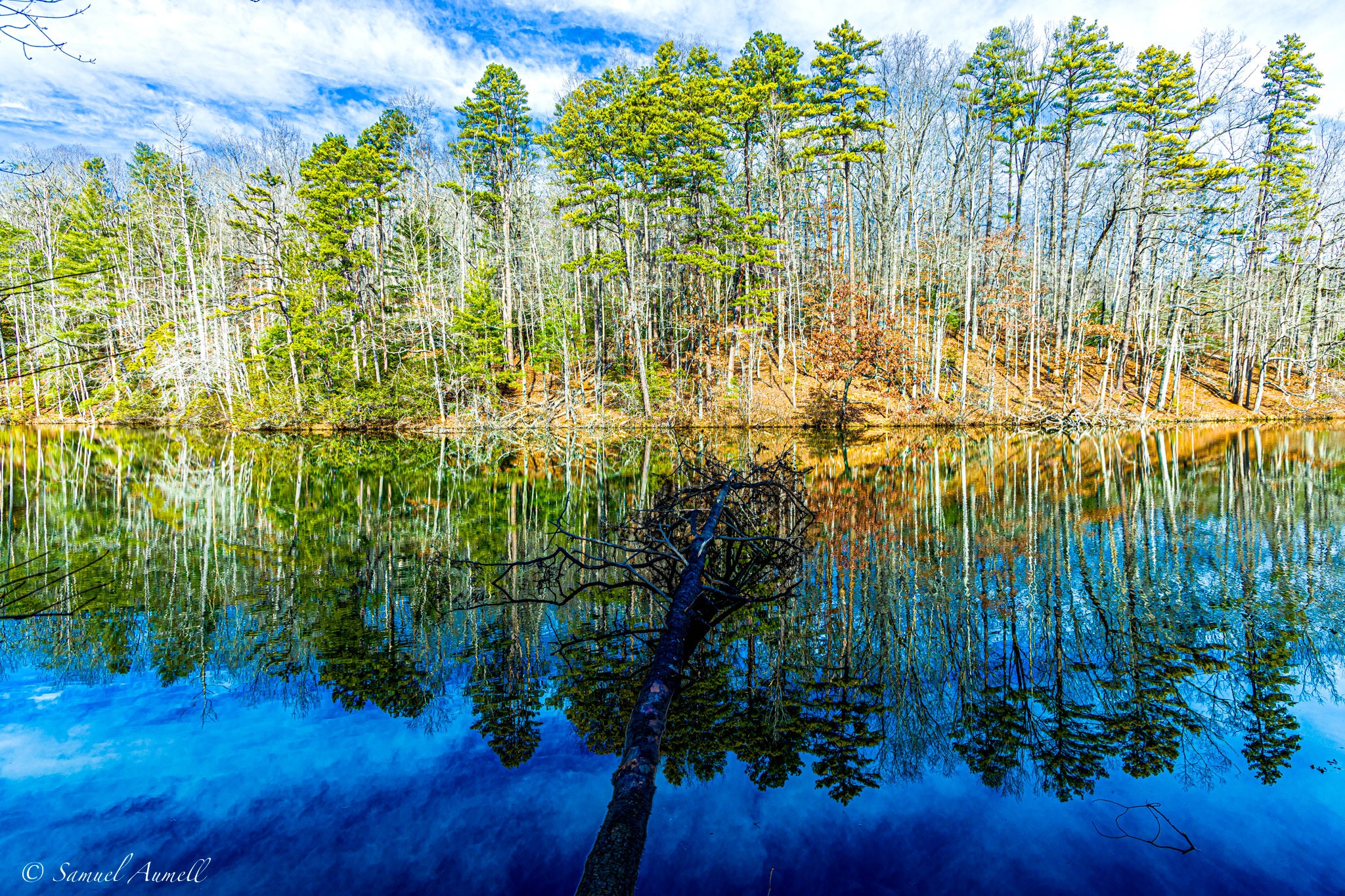 Water, Lake, Photography, Photography Print, Nature Print, Wall Art ...