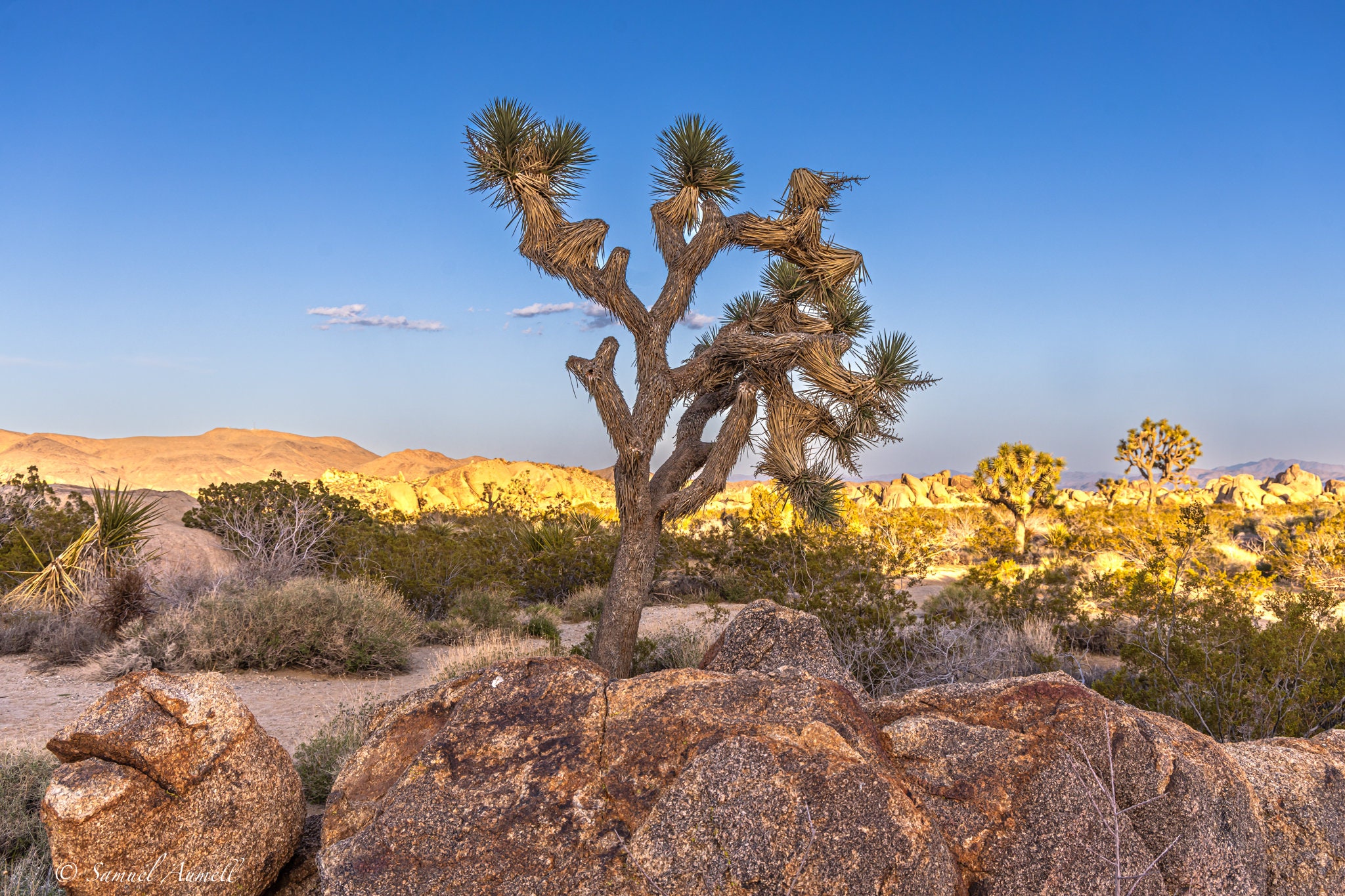Desert, Landscape, Photography, Photography Print, Nature Print, Wall ...