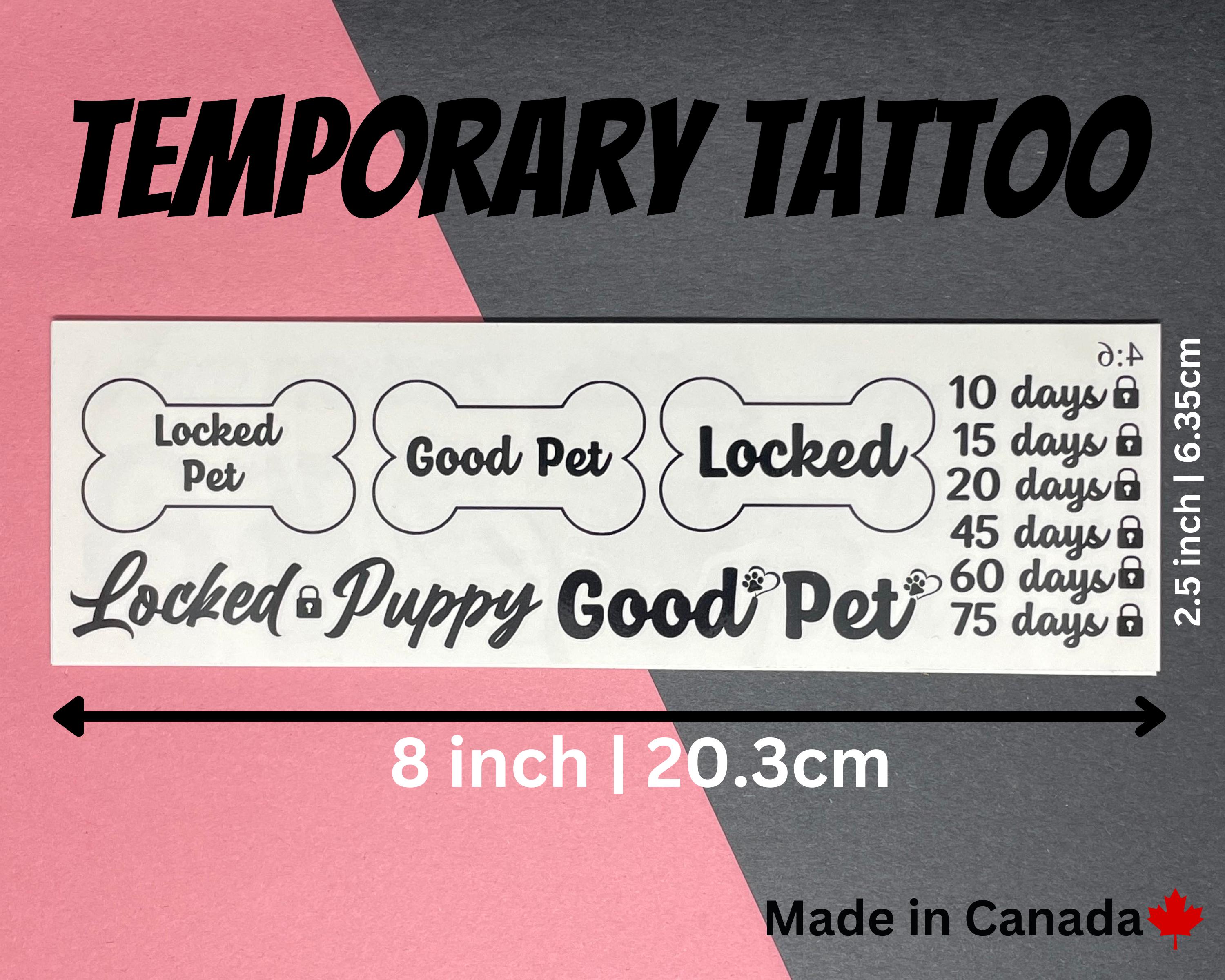 Chastity Locked Pet Temp Tattoo Sheet | Bdsm Chastity Cage Sissy Gurl ...