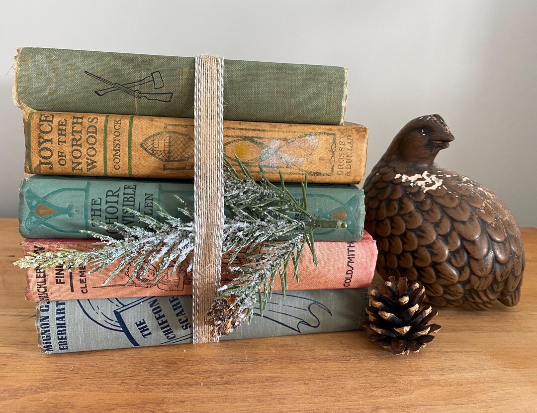Set of 5 Antique and Vintage Books for Decor, Dates Ranging From 1900 ...