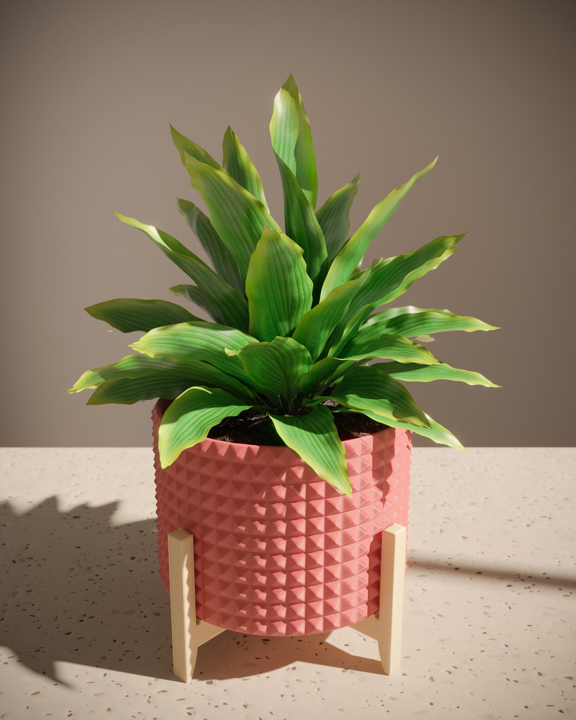 Quintana Planter 3D Print Stl File Stl File for 3D Printers 3D Home ...