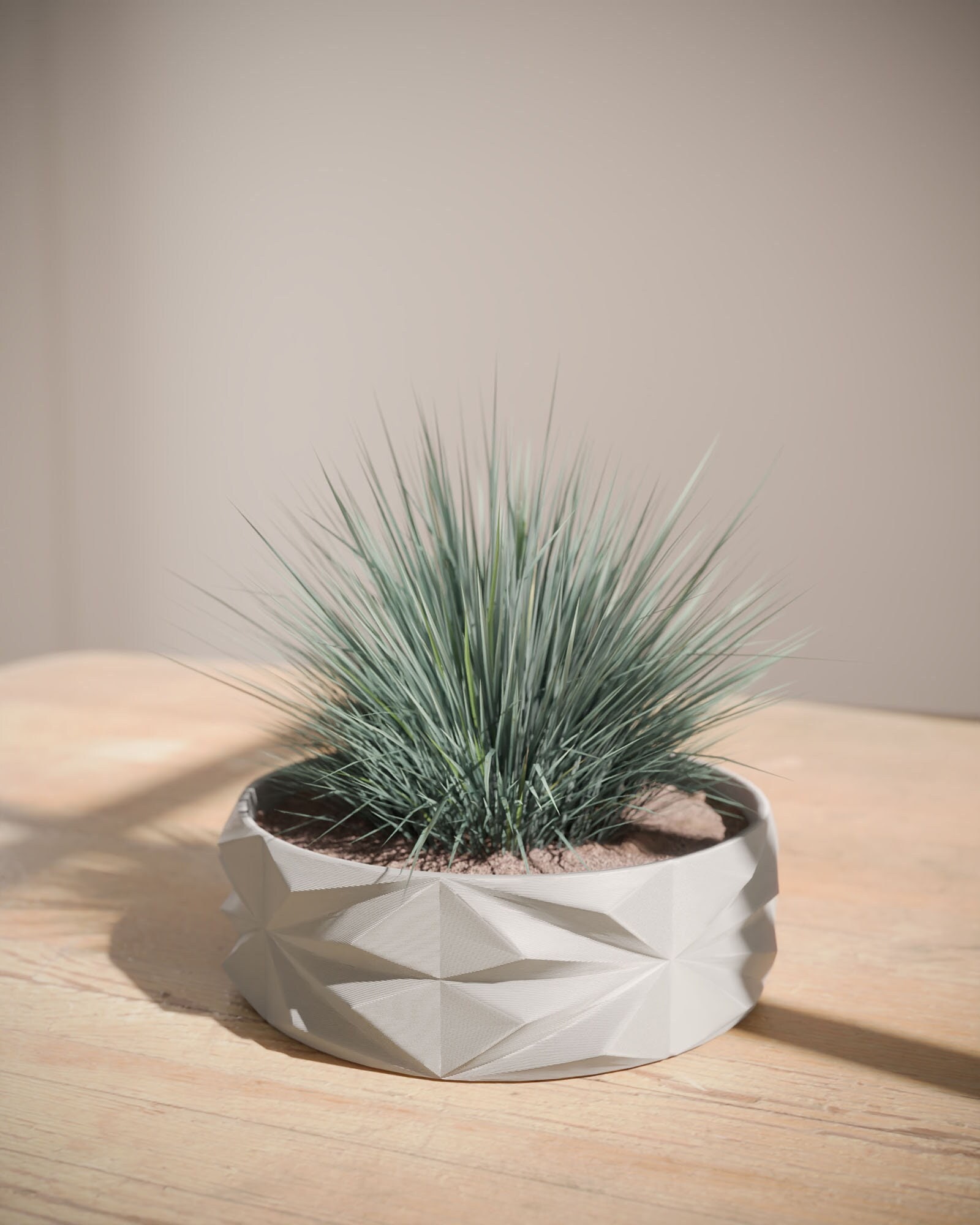 Low Poly Planter 3D Print Stl File Stl File for 3D Printers 3D Home ...