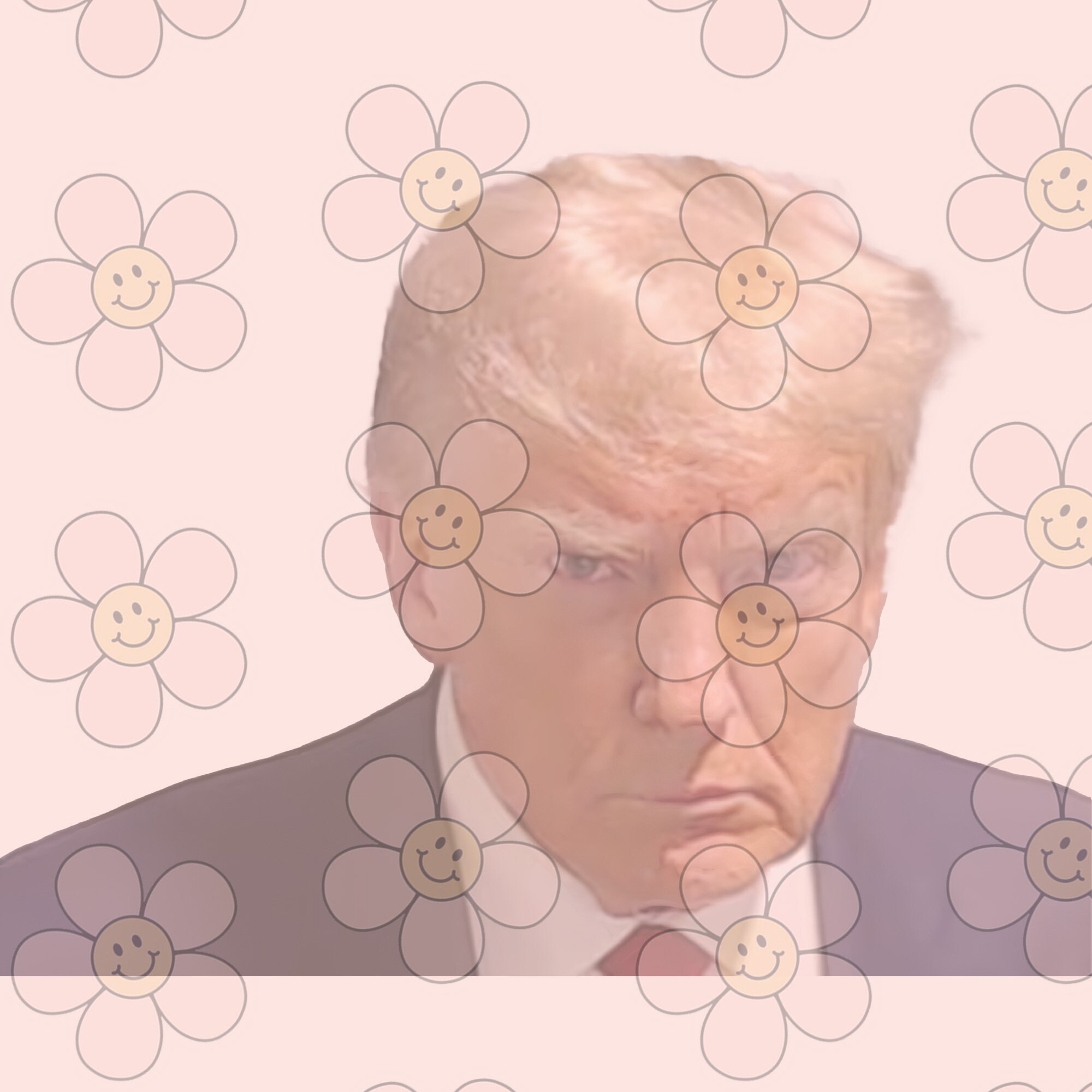 Donald Trump Mugshot PNG Trump Arrested PNG Create Your - Etsy