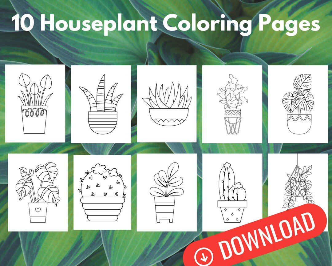 Houseplant Coloring Pages, Printable Succulent, Cactus, Indoor Plant ...
