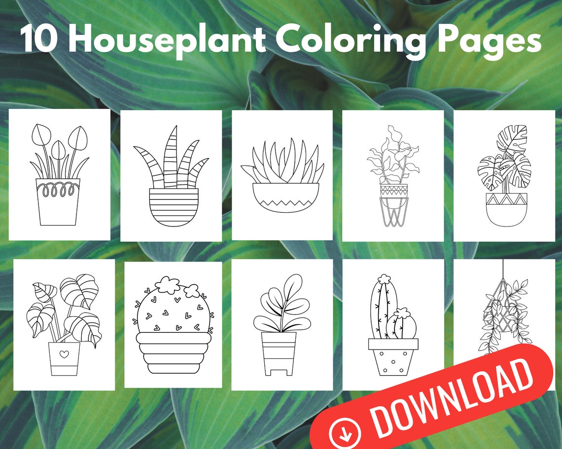 Houseplant Coloring Pages, Printable Succulent, Cactus, Indoor Plant ...