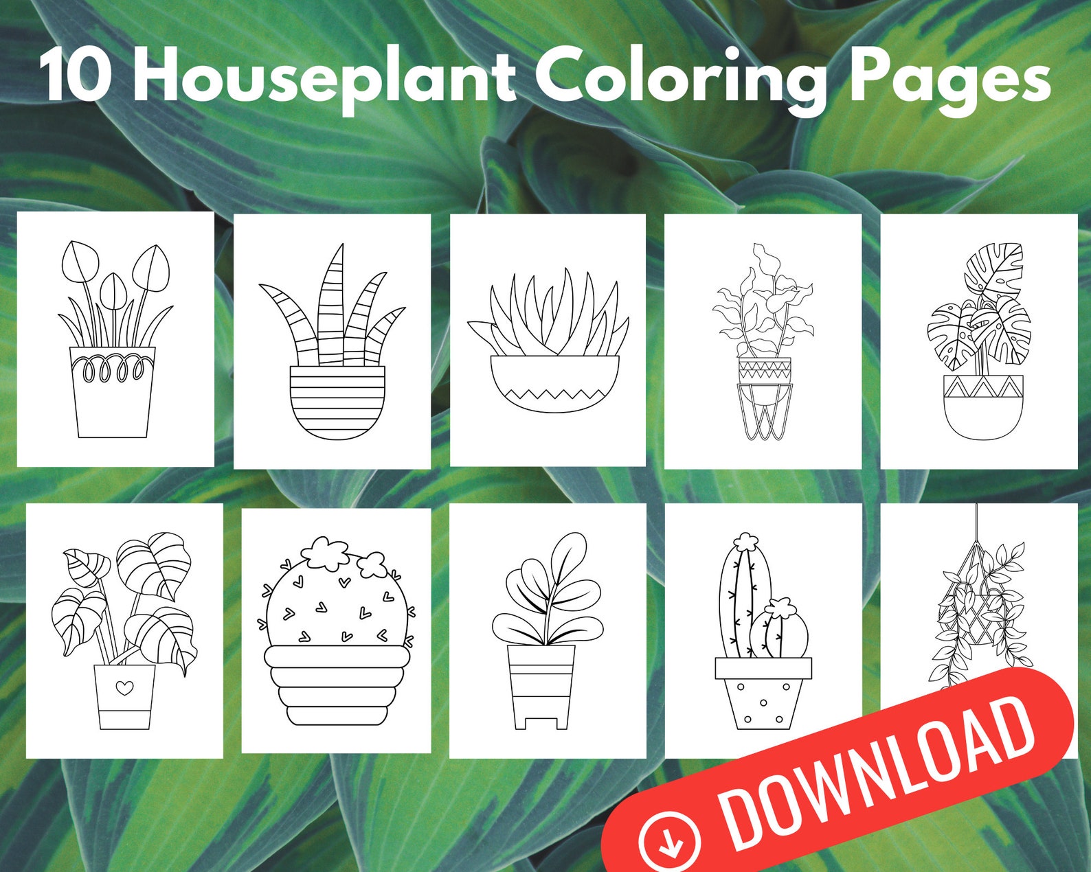 Houseplant Coloring Pages, Printable Succulent, Cactus, Indoor Plant ...