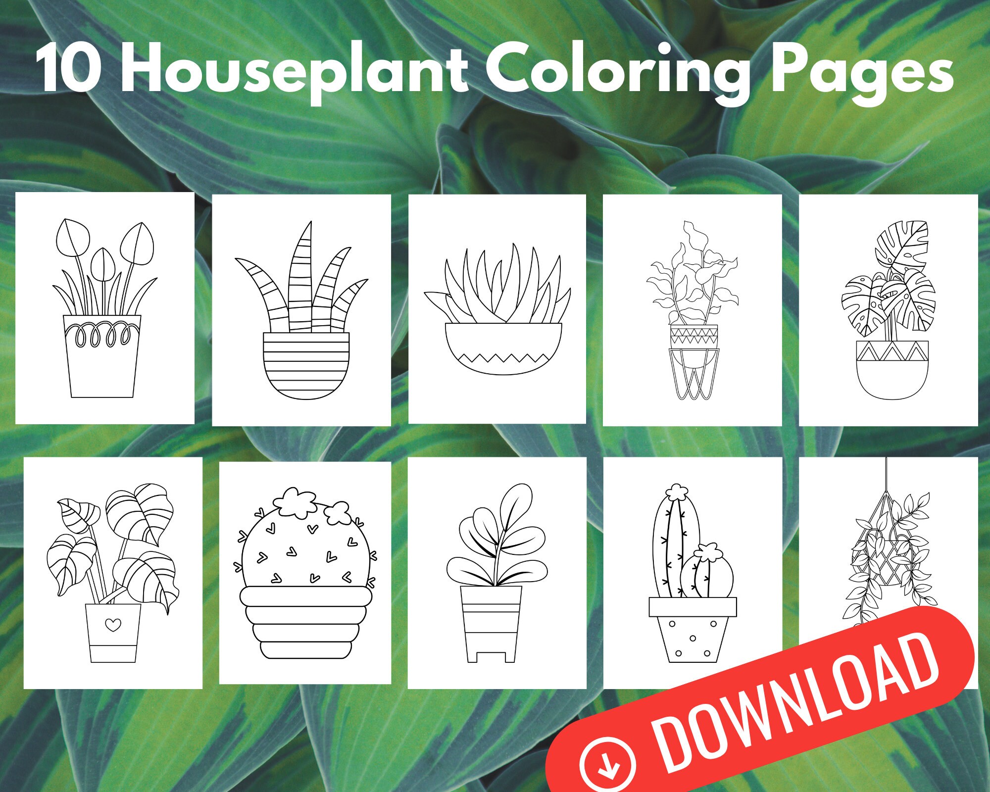Houseplant Coloring Pages, Printable Succulent, Cactus, Indoor Plant ...