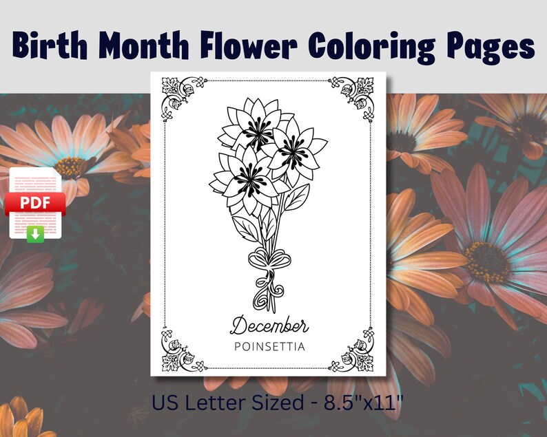 Birth Flower Coloring Pages, Set of 12, Monthly Coloring Pages, Birth ...