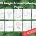 Jungle Animal Coloring Pages, Zoo Animals Printable, Animal Games ...