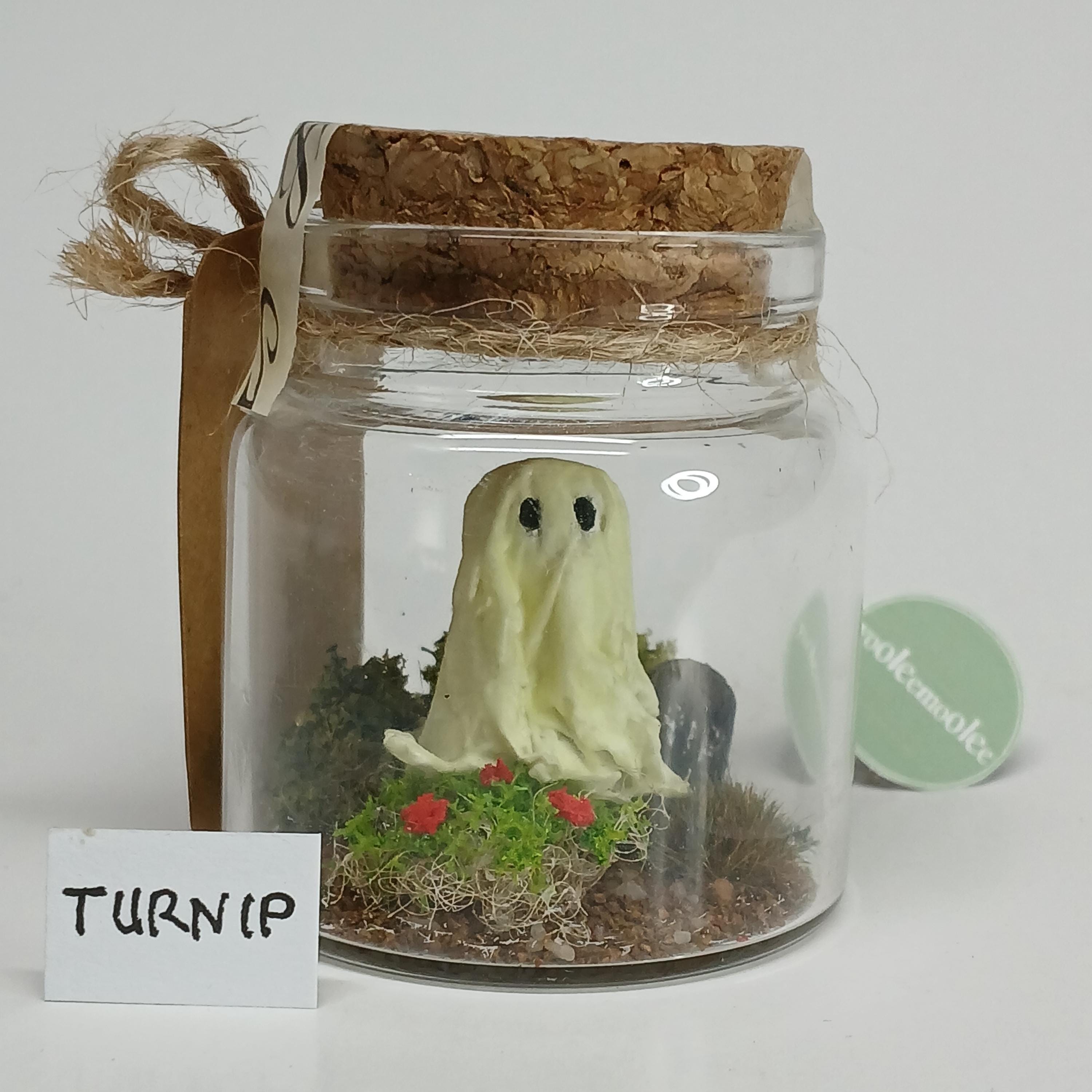 Pet Ghost in a Jar Flowy Sheet Ghost Glow in the Dark Handmade ...