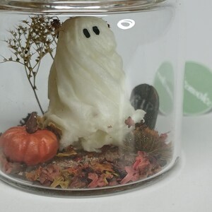 Pet Ghost in a Jar Flowy Sheet Ghost Glow in the Dark Handmade ...