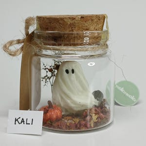 Pet Ghost in a Jar Flowy Sheet Ghost Glow in the Dark Handmade ...