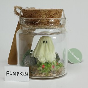Pet Ghost in a Jar Flowy Sheet Ghost Glow in the Dark Handmade ...